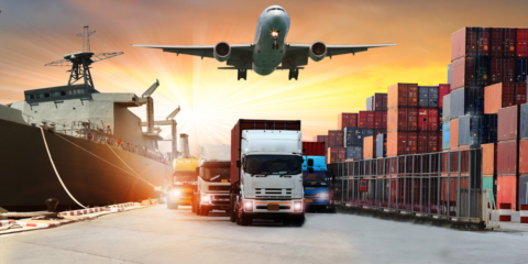 Pallet distribution - the ultimate guide